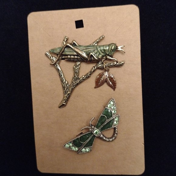 Source Unknown | Jewelry | Two Of Nicest Insects You Will Ever See They ...